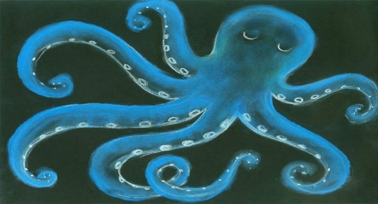 To Clear Up The Confusion - I Am NOT An Octopus!