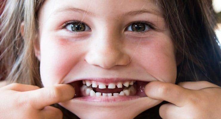 Please Stop Meowing - How to Survive a Toddler’s School Interview